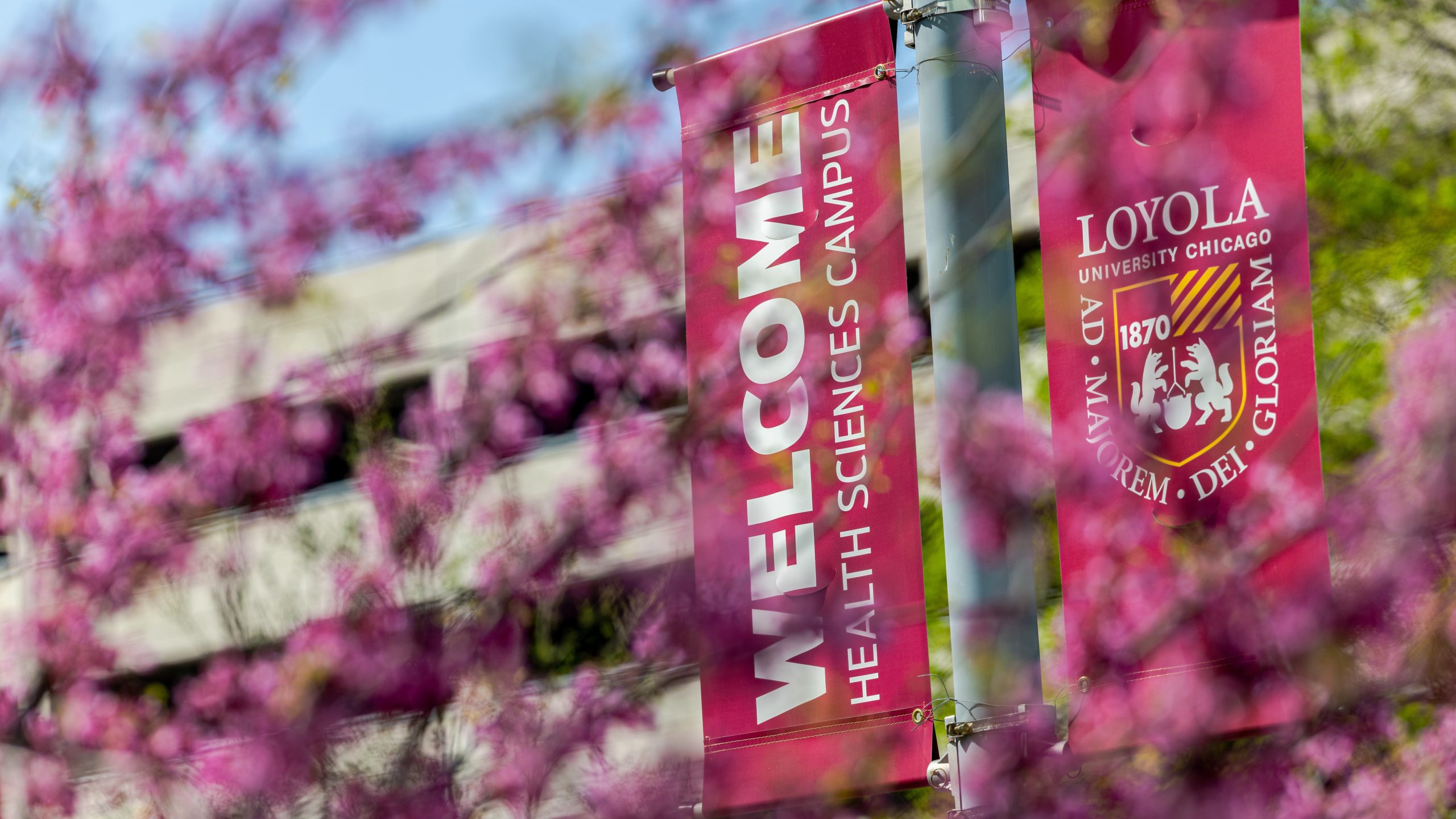 Two Loyola faculty members to be inducted into the American Academy of ...
