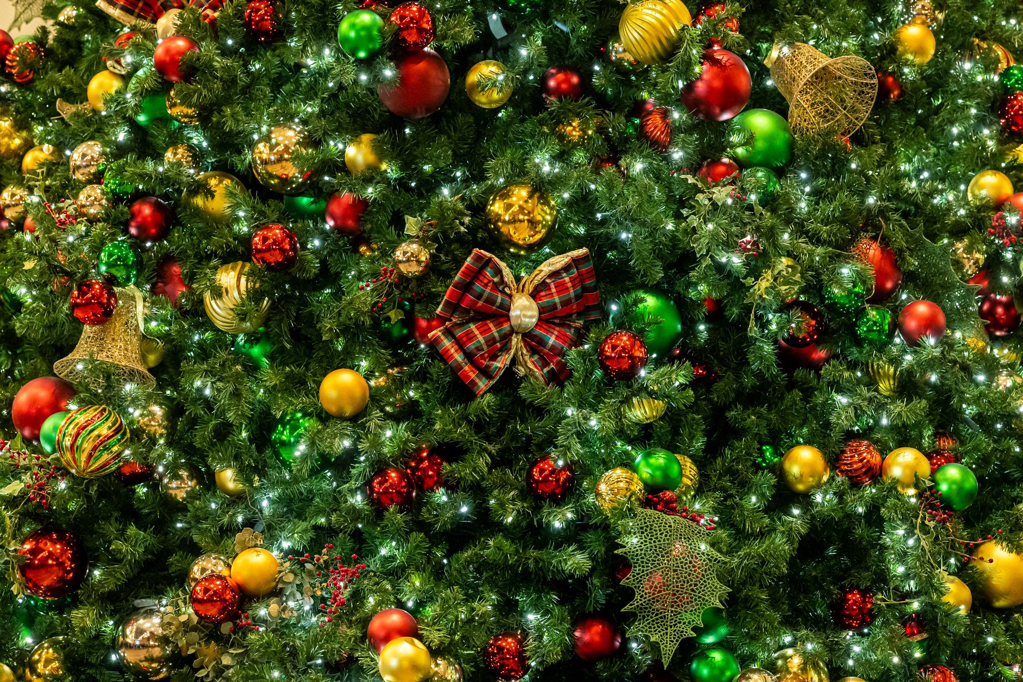 Experience the holiday cheer at Loyola